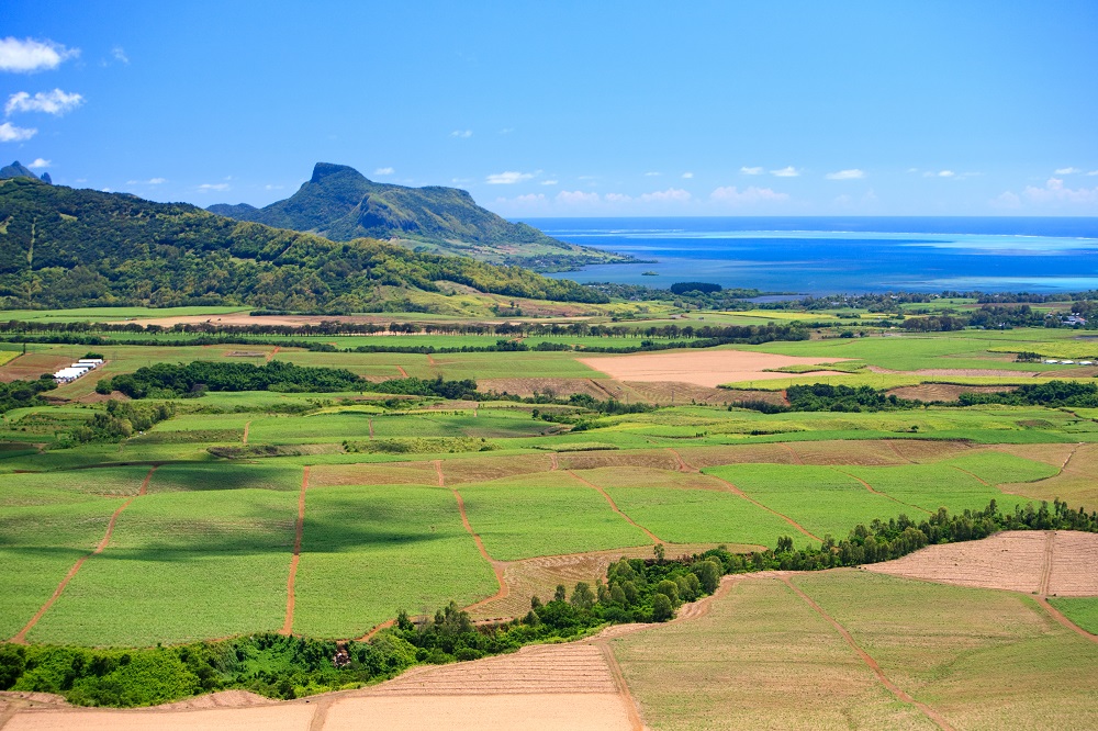 Understanding Land Measurement In Mauritius | Fody Properties Understanding Land Measurement In Mauritius | Fody Properties